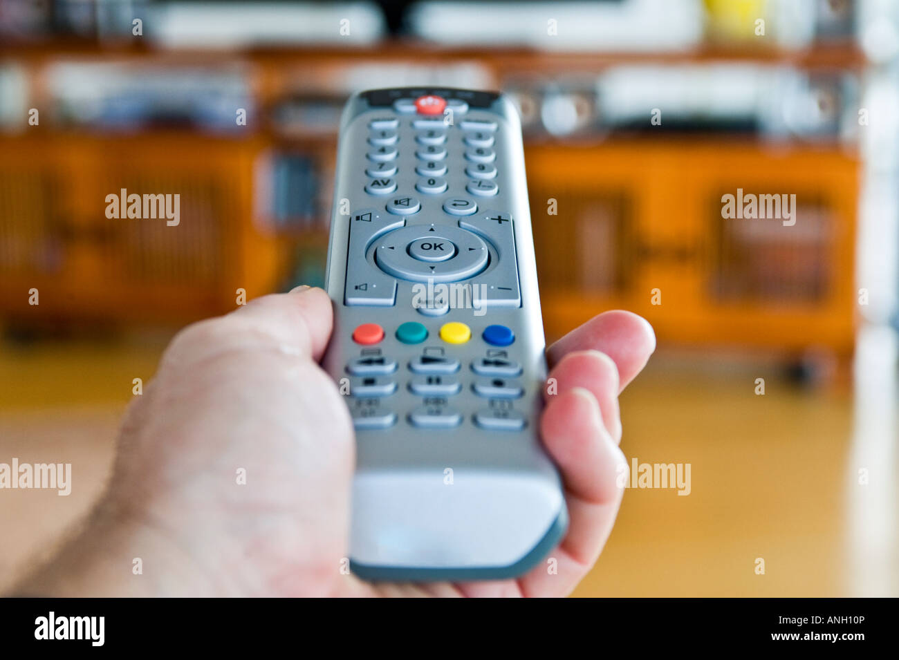 Lazy lizard lounge hi-res stock photography and images - Alamy