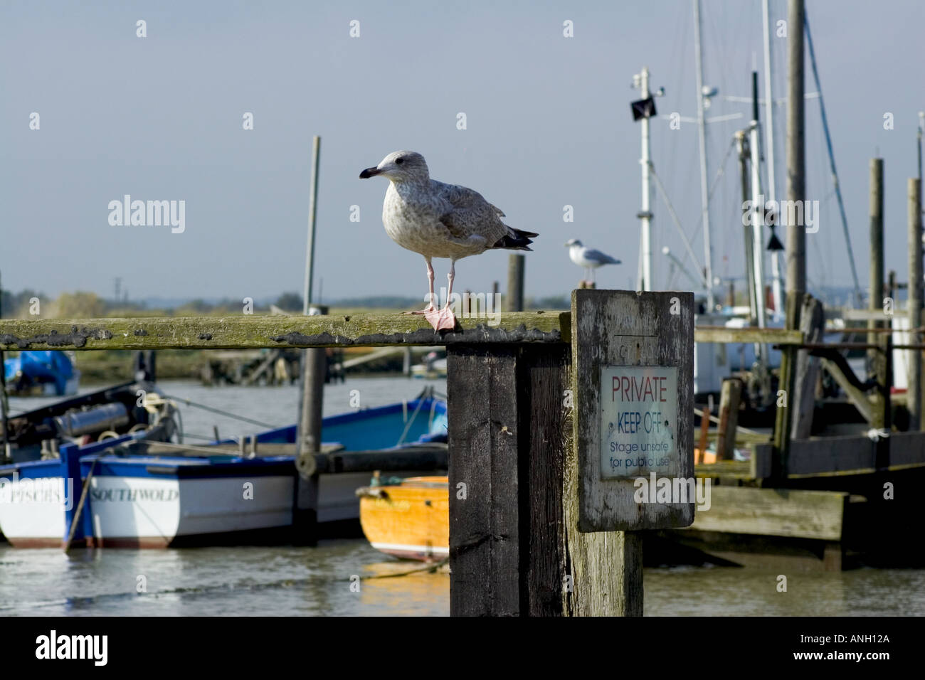 Keep off the jetty hi-res stock photography and images - Alamy
