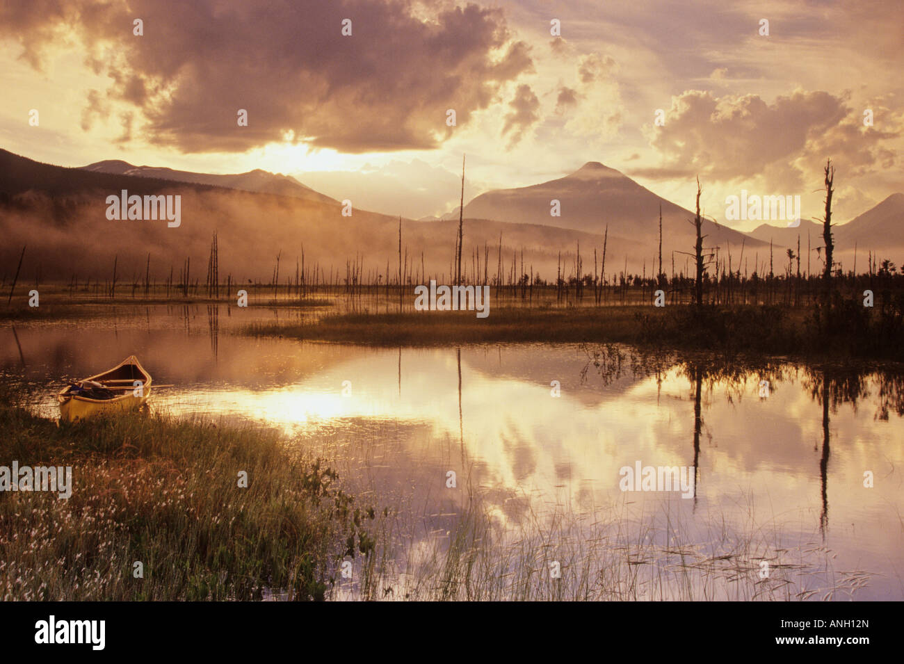 Canoe landed in the bowron river marsh hi-res stock photography and ...