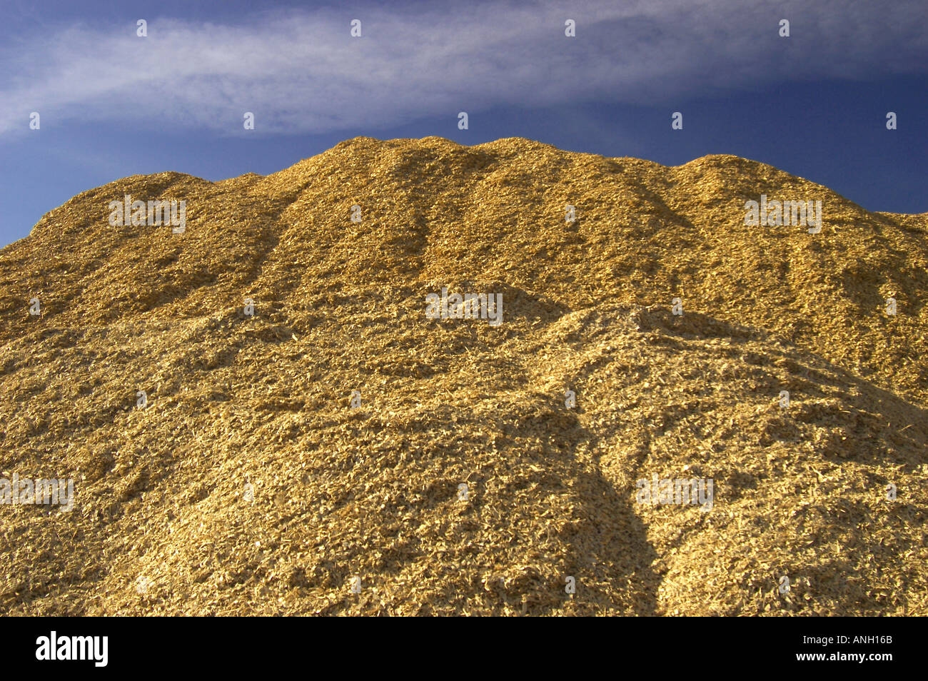 wood chip pile Stock Photo - Alamy