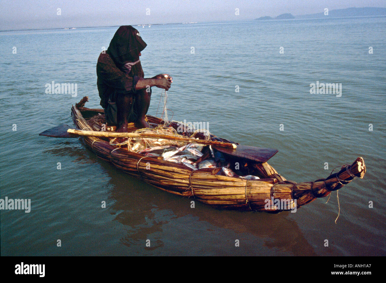 Job scarcity hi-res stock photography and images - Alamy