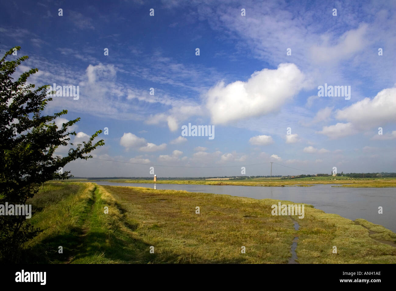 Walberswick marshes hi-res stock photography and images - Alamy