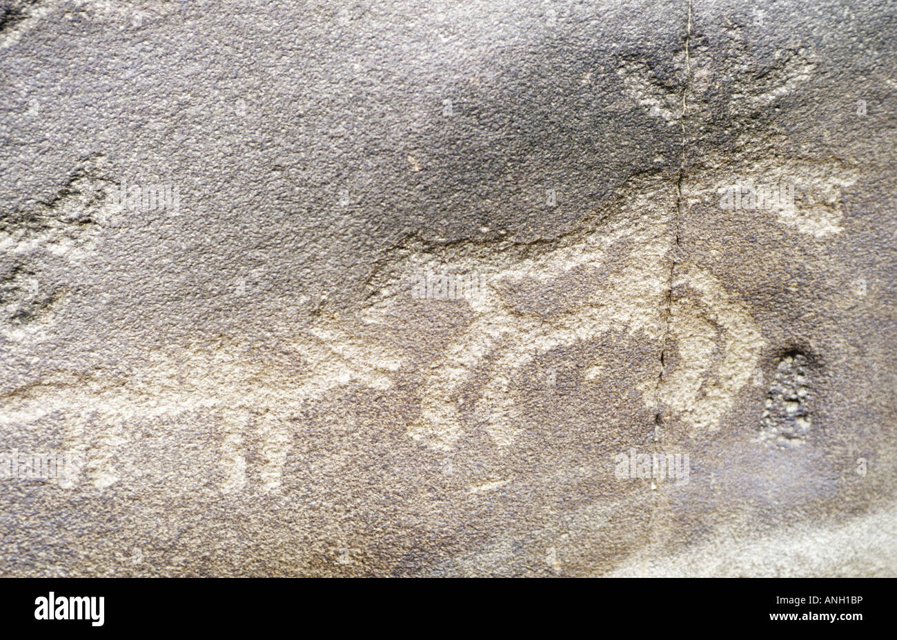 First nations pictograph hi-res stock photography and images - Alamy