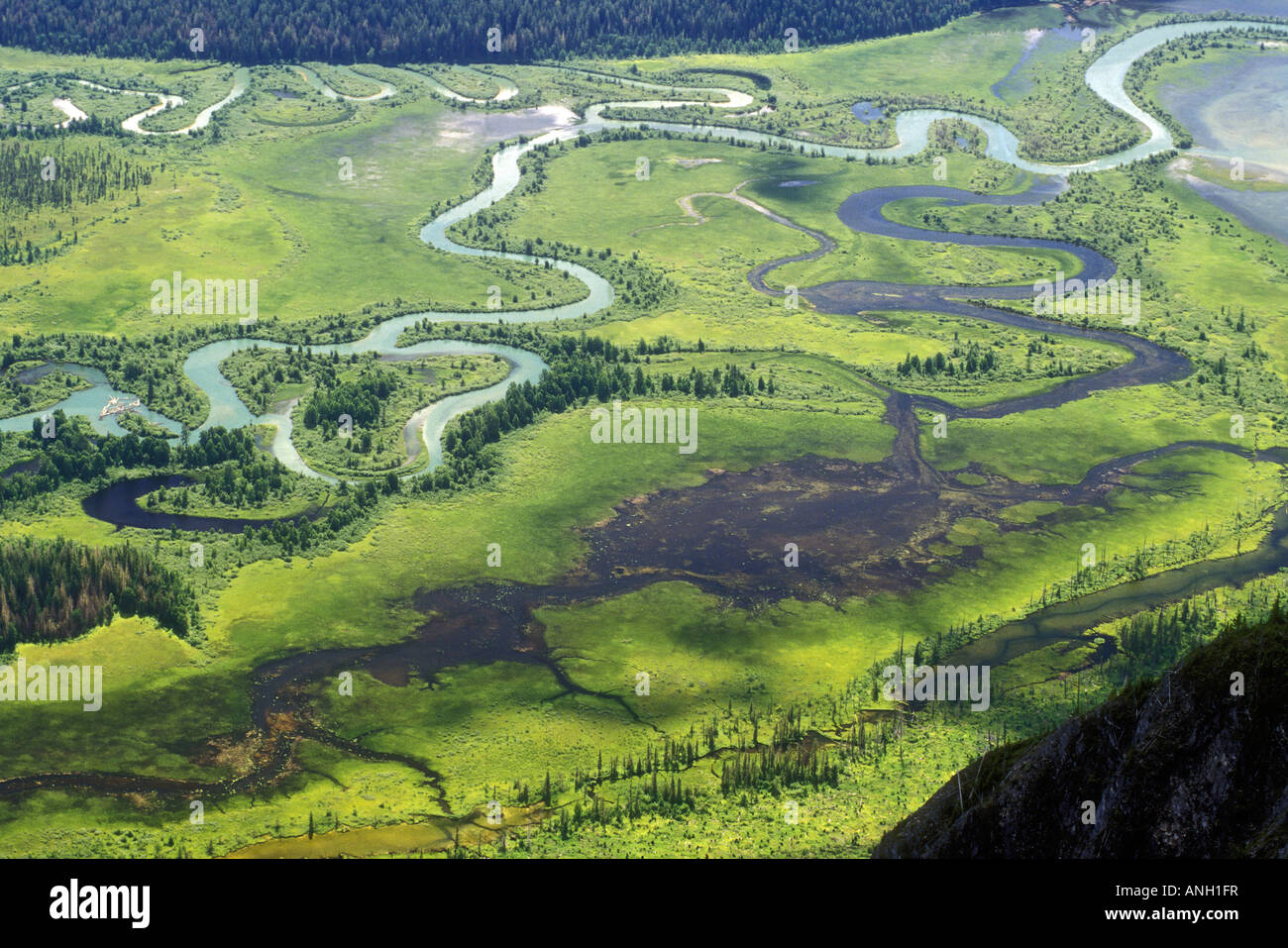 Interior wetlands hi-res stock photography and images - Alamy