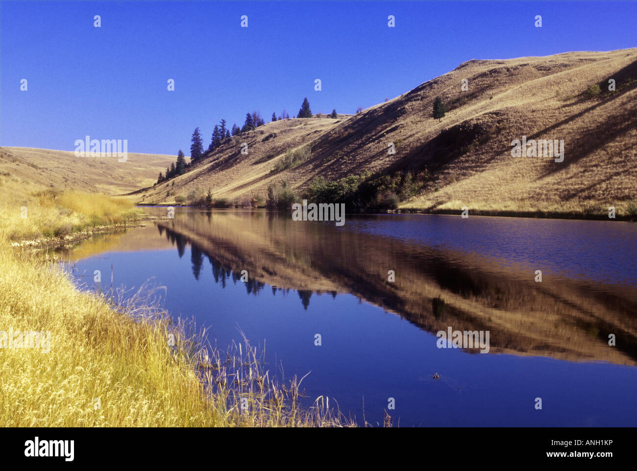 Lac du bois hi-res stock photography and images - Alamy