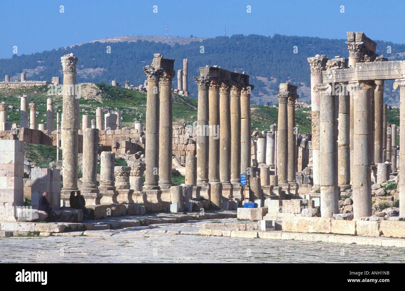The Cardo, Jerash, Jordan Stock Photo - Alamy