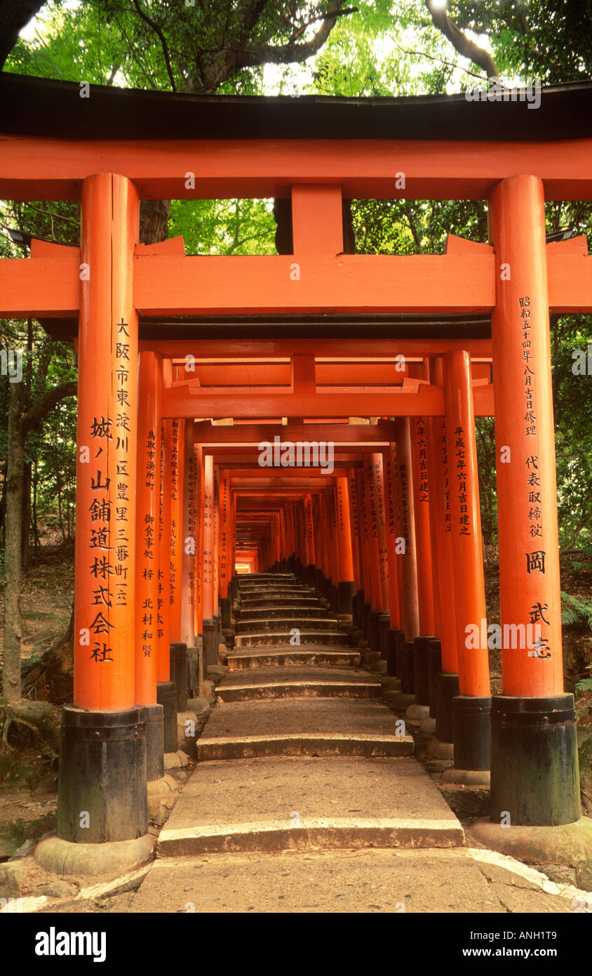 Tori Gates, Fushimi Inari, Kyoto, Japan Stock Photo - Alamy