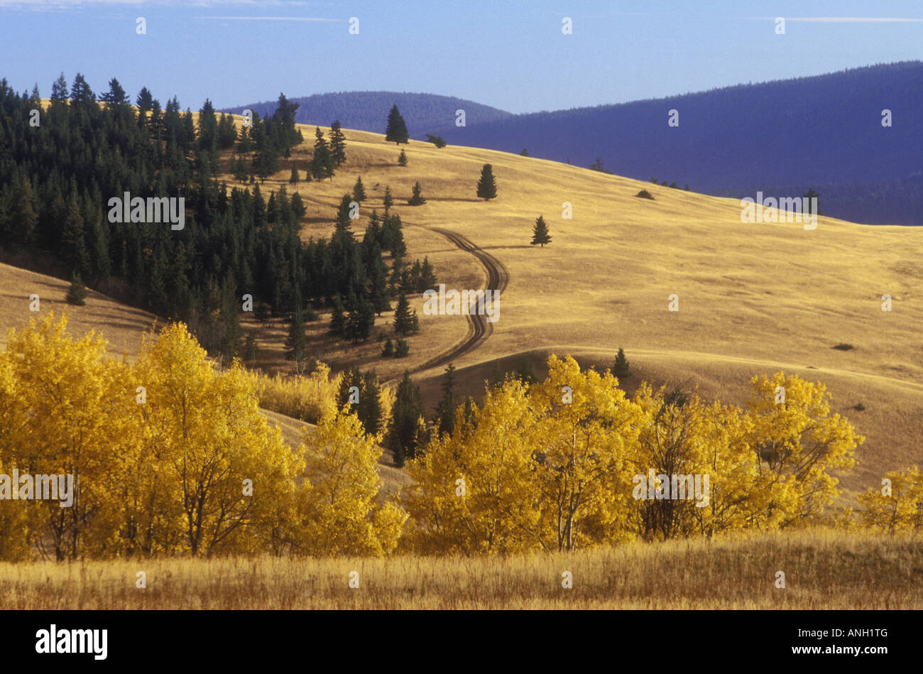 Sheep Range Junction Provincial Park, grasslands, Chilcotin region ...