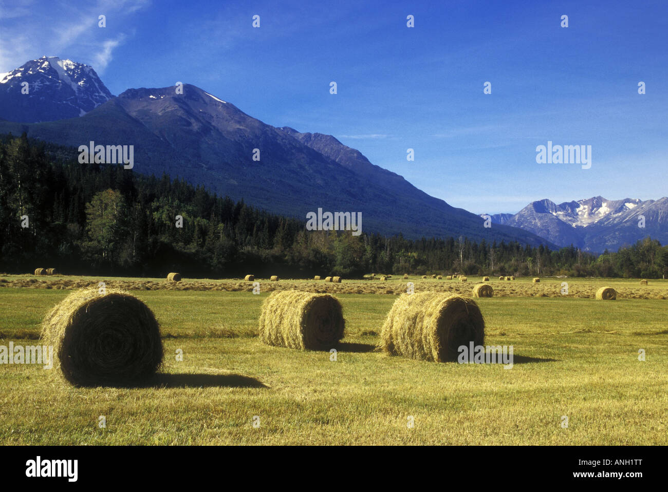 Canada bc hay bales hi-res stock photography and images - Alamy