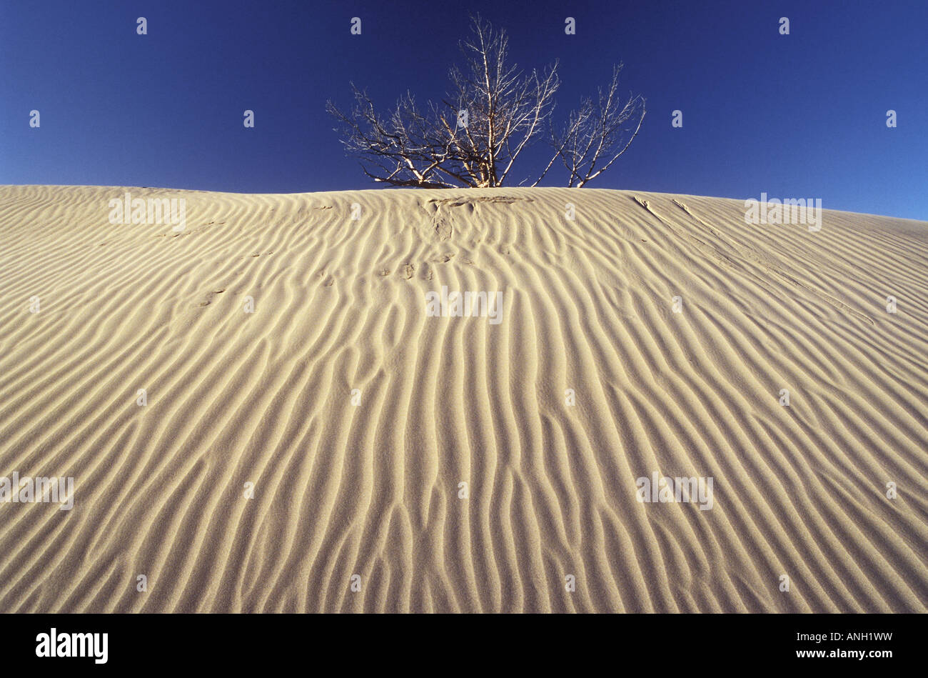 The sand hi-res stock photography and images - Alamy