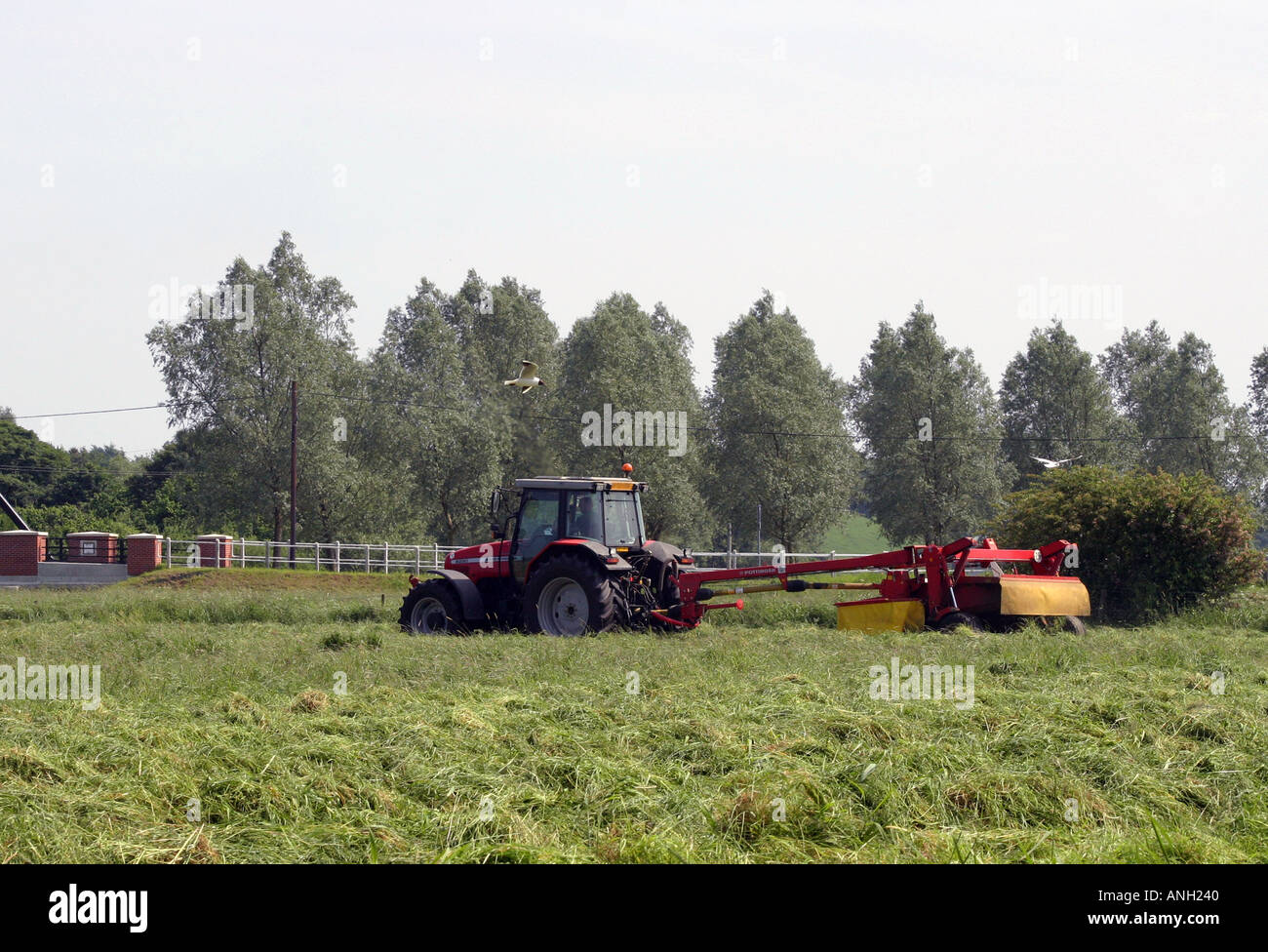 Grassland cutting hi-res stock photography and images - Alamy