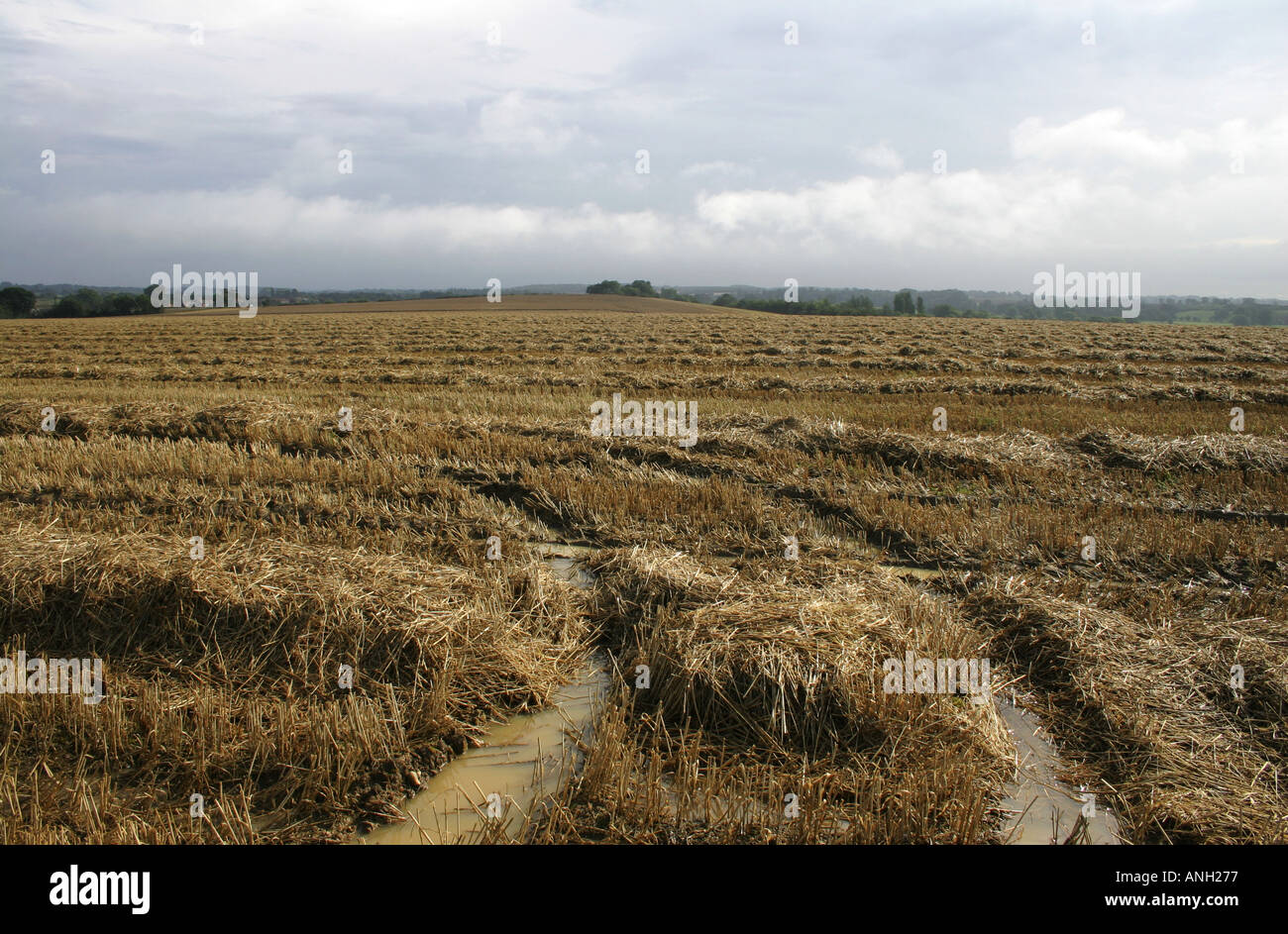 Wet arable land hi-res stock photography and images - Alamy