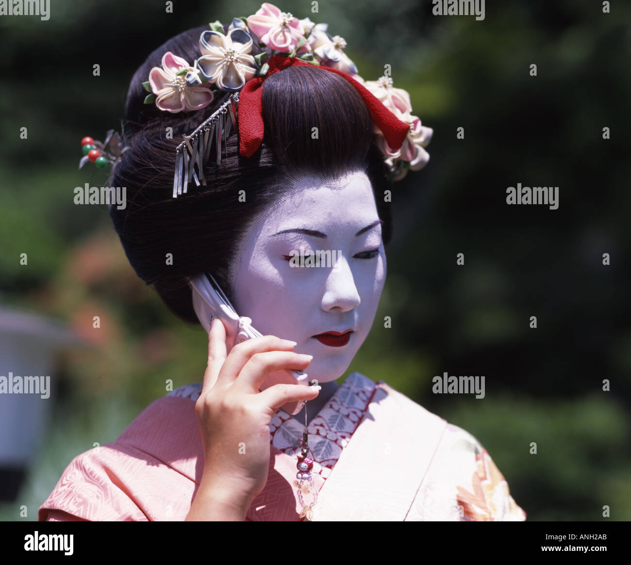 Modern Geisha Hair