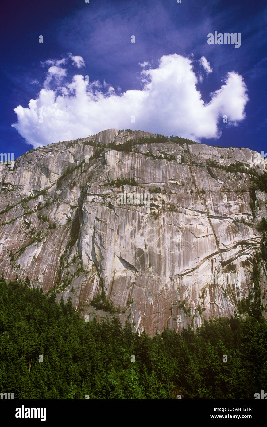 Stawamus chief provincial park hi-res stock photography and images - Alamy