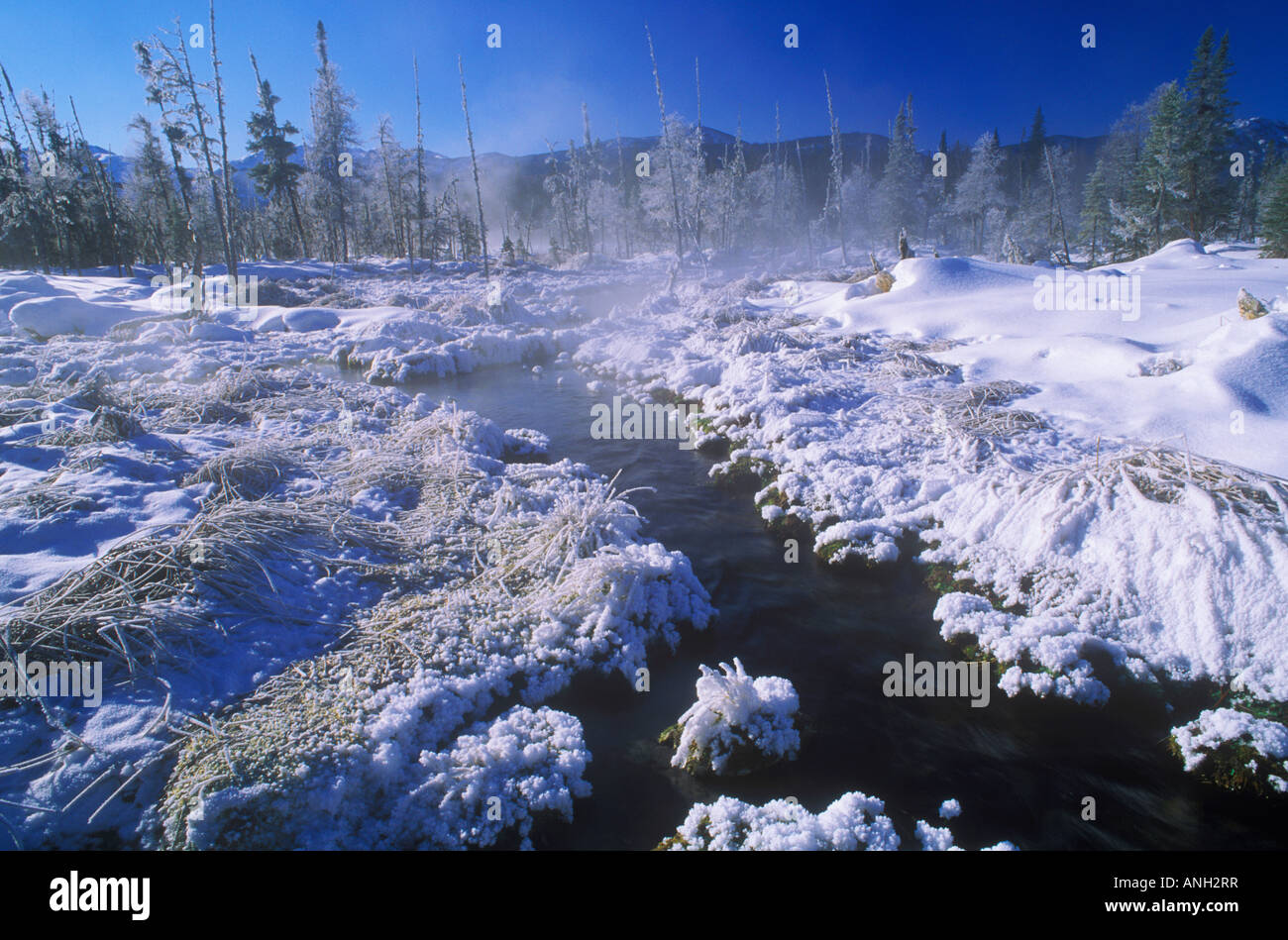 Liard River hot springs in winter, British Columbia, Canada Stock Photo ...