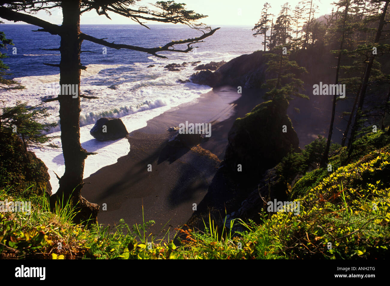 West Coast Trail, Pacific Rim National Park, Vancouver Island, British ...