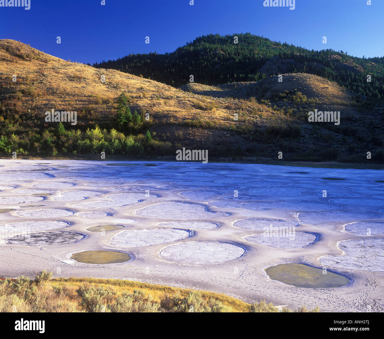 Spotted lake South Okanagan, British Columbia, Canada Stock Photo - Alamy