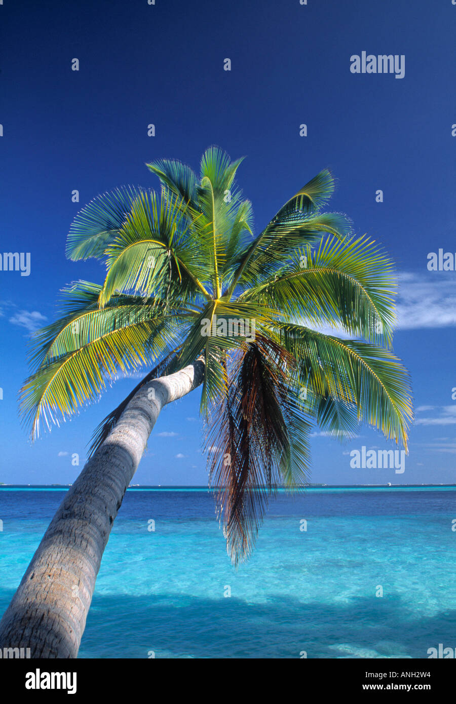 Maldives, Indian Ocean Stock Photo - Alamy