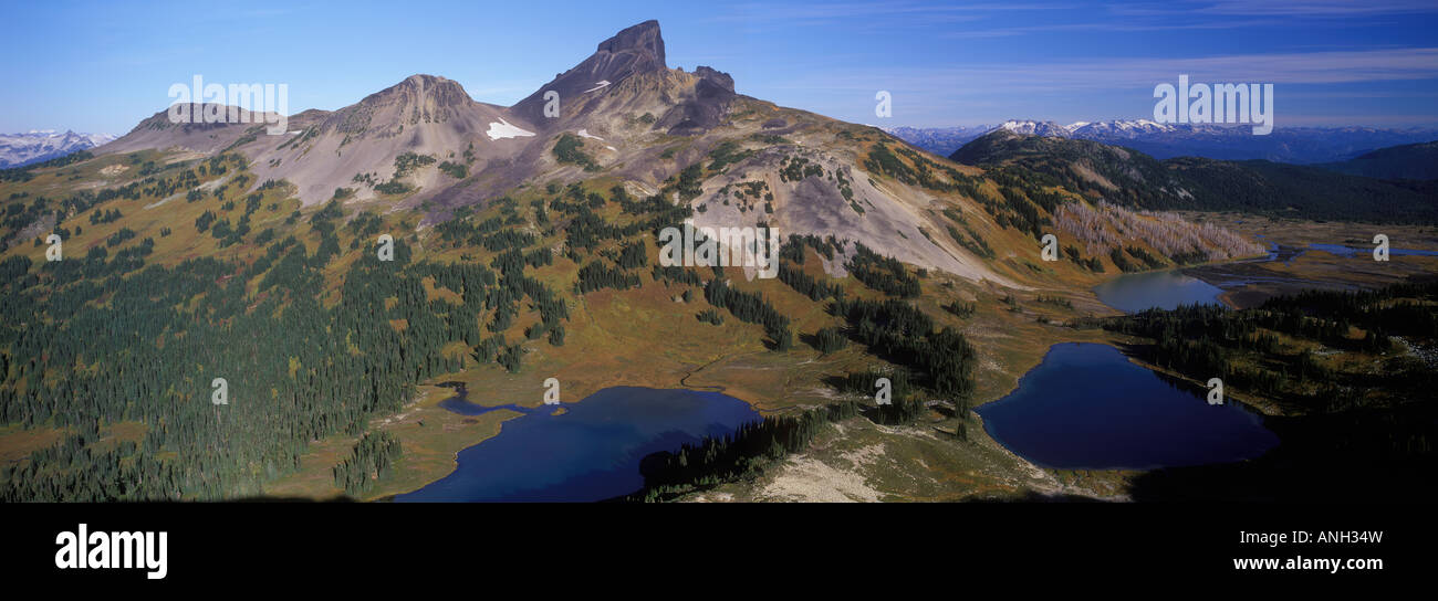 Black tusk hi-res stock photography and images - Alamy