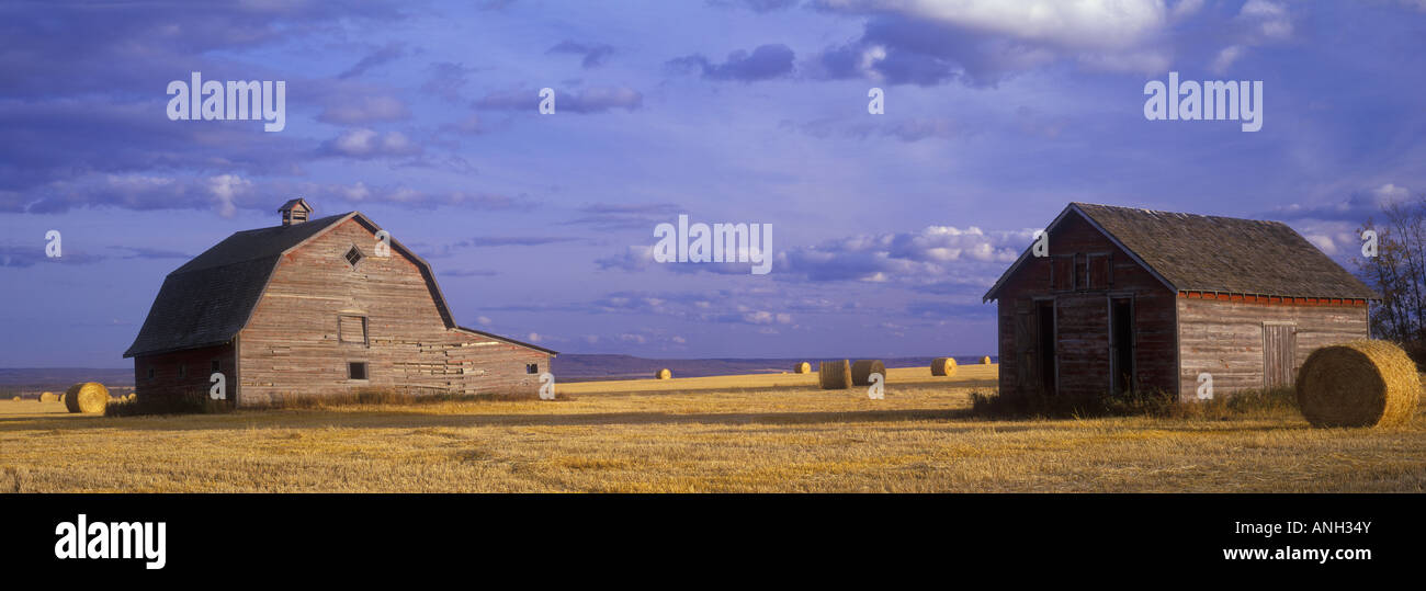 Dawson creek bc hi-res stock photography and images - Alamy