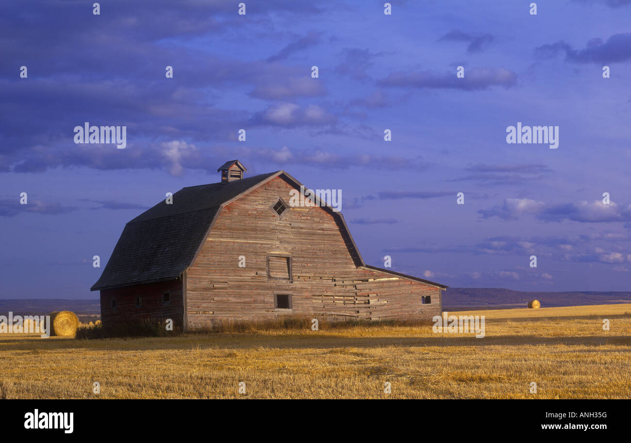 Dawson creek bc hi-res stock photography and images - Alamy