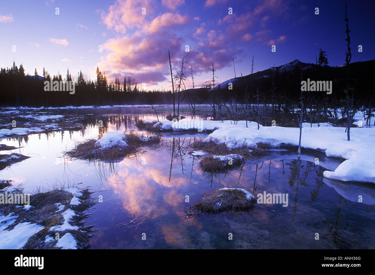 Liard River hot springs in winter, British Columbia, Canada Stock Photo ...