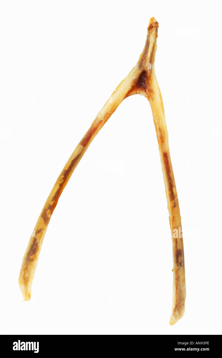 Wishbone Closeup Turkey Stock Photo - Alamy