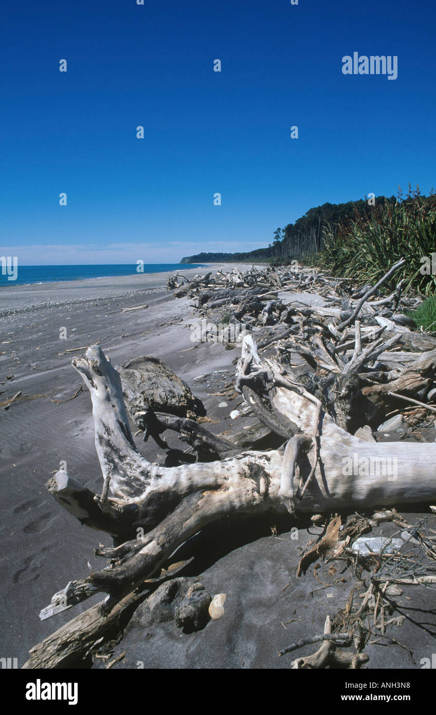 Bruce Bay, West Coast, South Island, New Zealand Stock Photo - Alamy