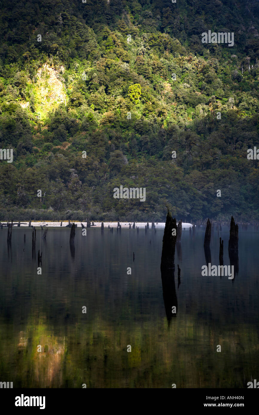 Dusky track hi-res stock photography and images - Alamy