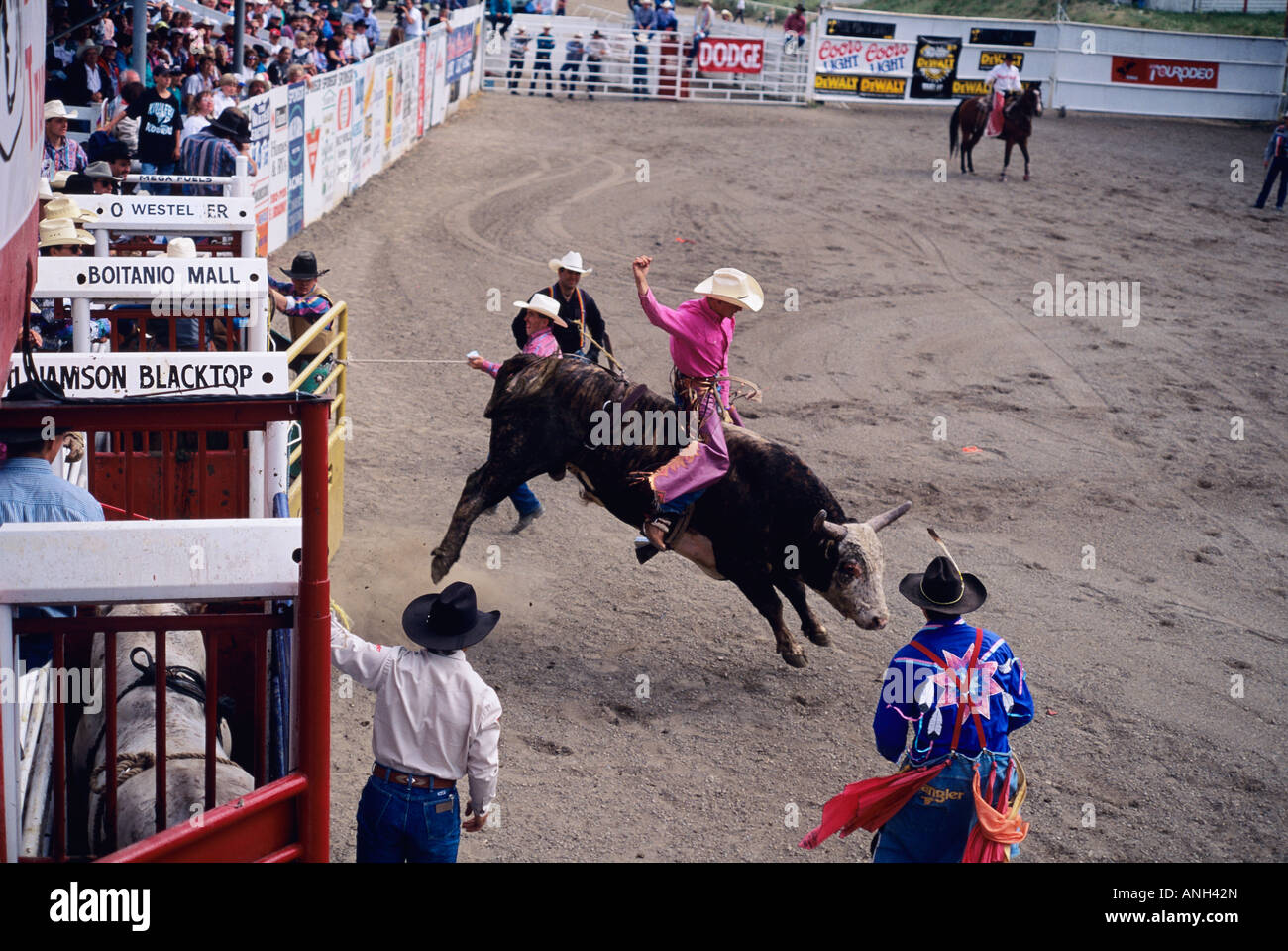 Rodeo photos hi-res stock photography and images - Alamy