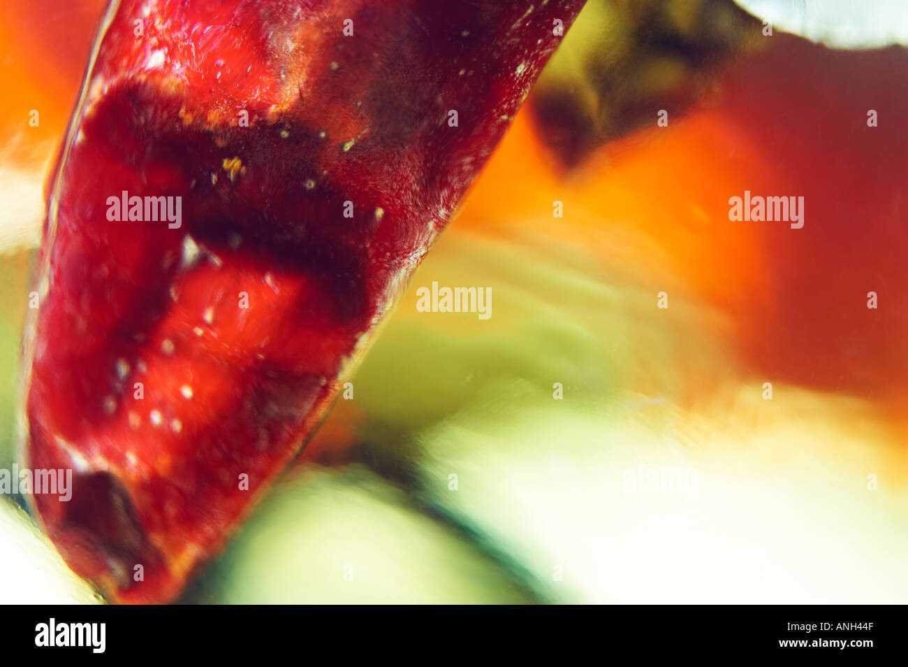 Abstract food art hi-res stock photography and images - Alamy