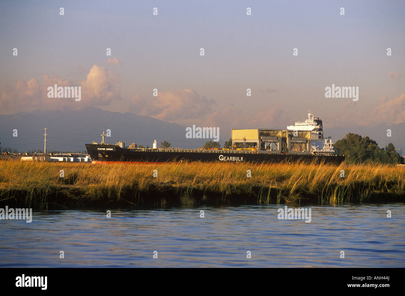 Freighter, Fraser River Delta, Lower Mainland, British Columbia, Canada ...