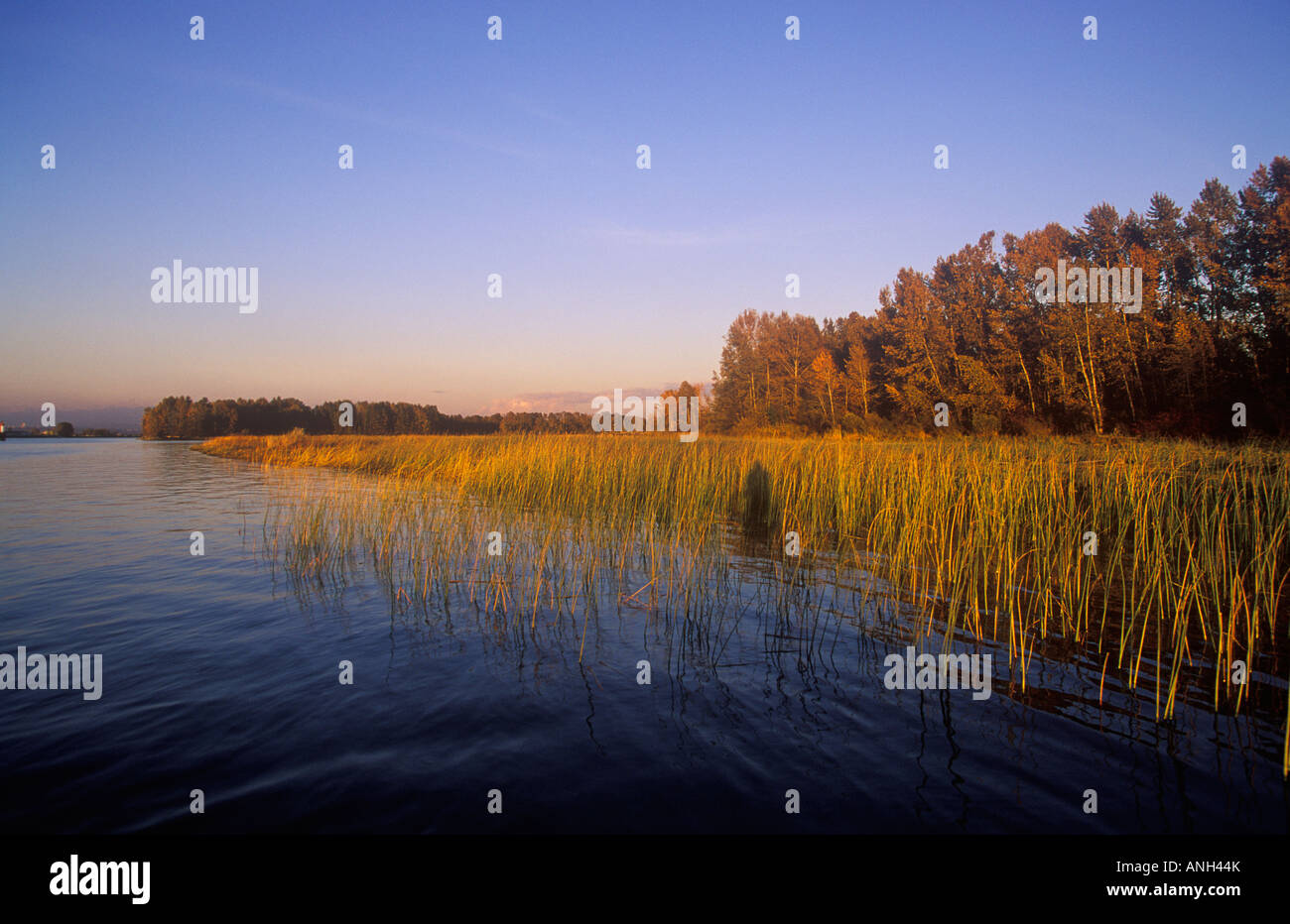 Fraser river delta hi-res stock photography and images - Alamy