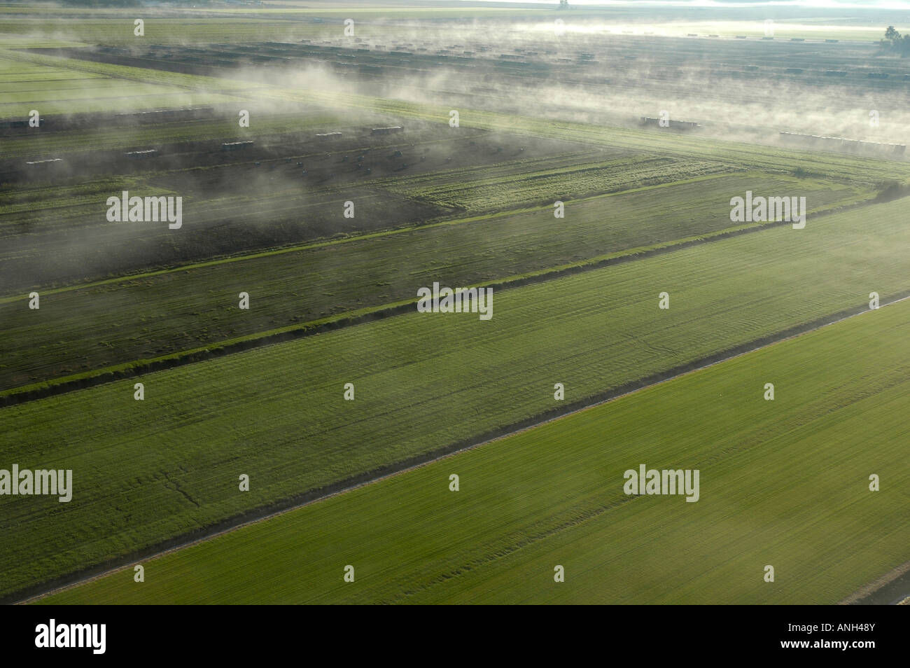 Sod off hi-res stock photography and images - Alamy