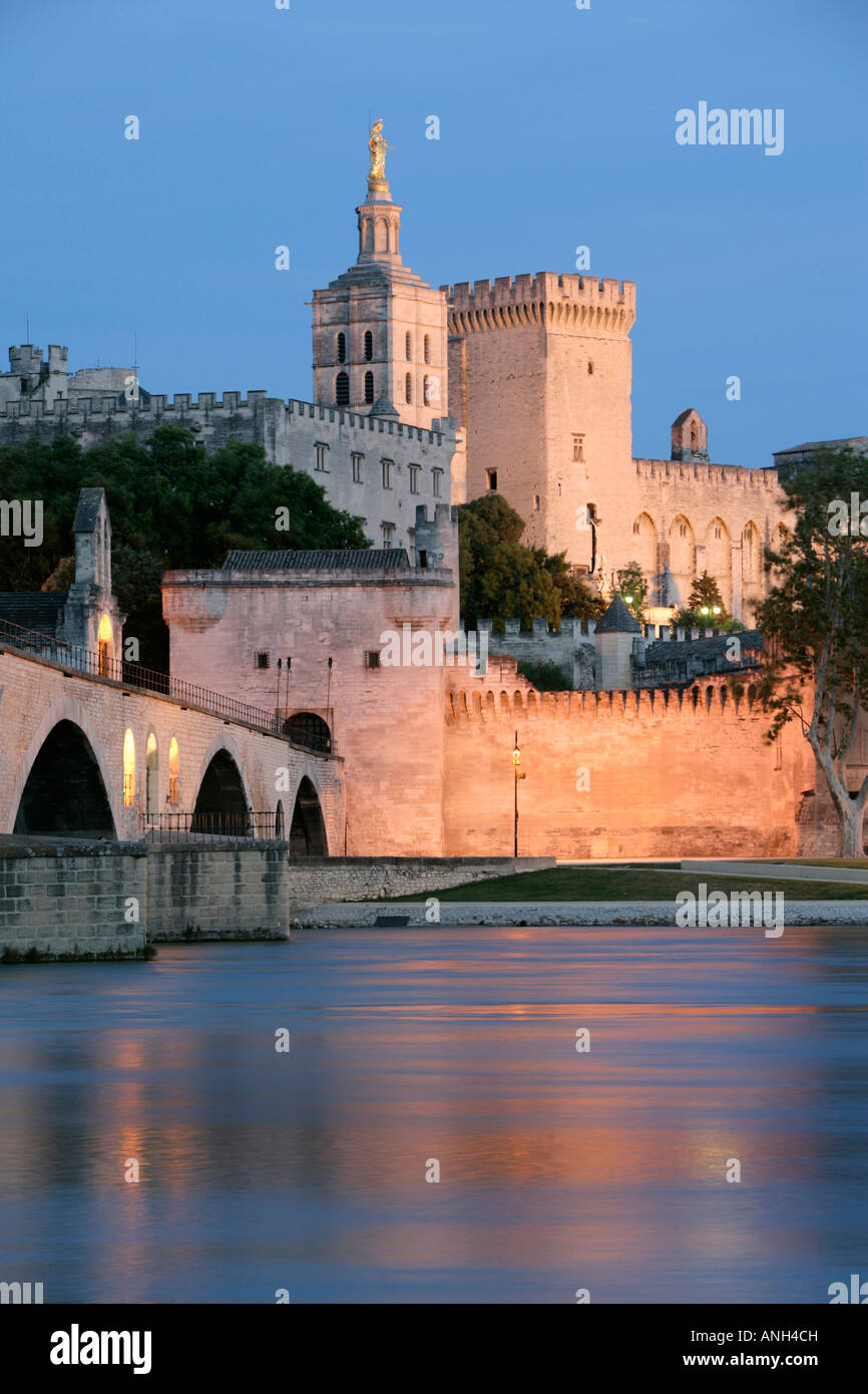 Avignon, View of the Palace of the Popes the Cathedral of Avignon and ...