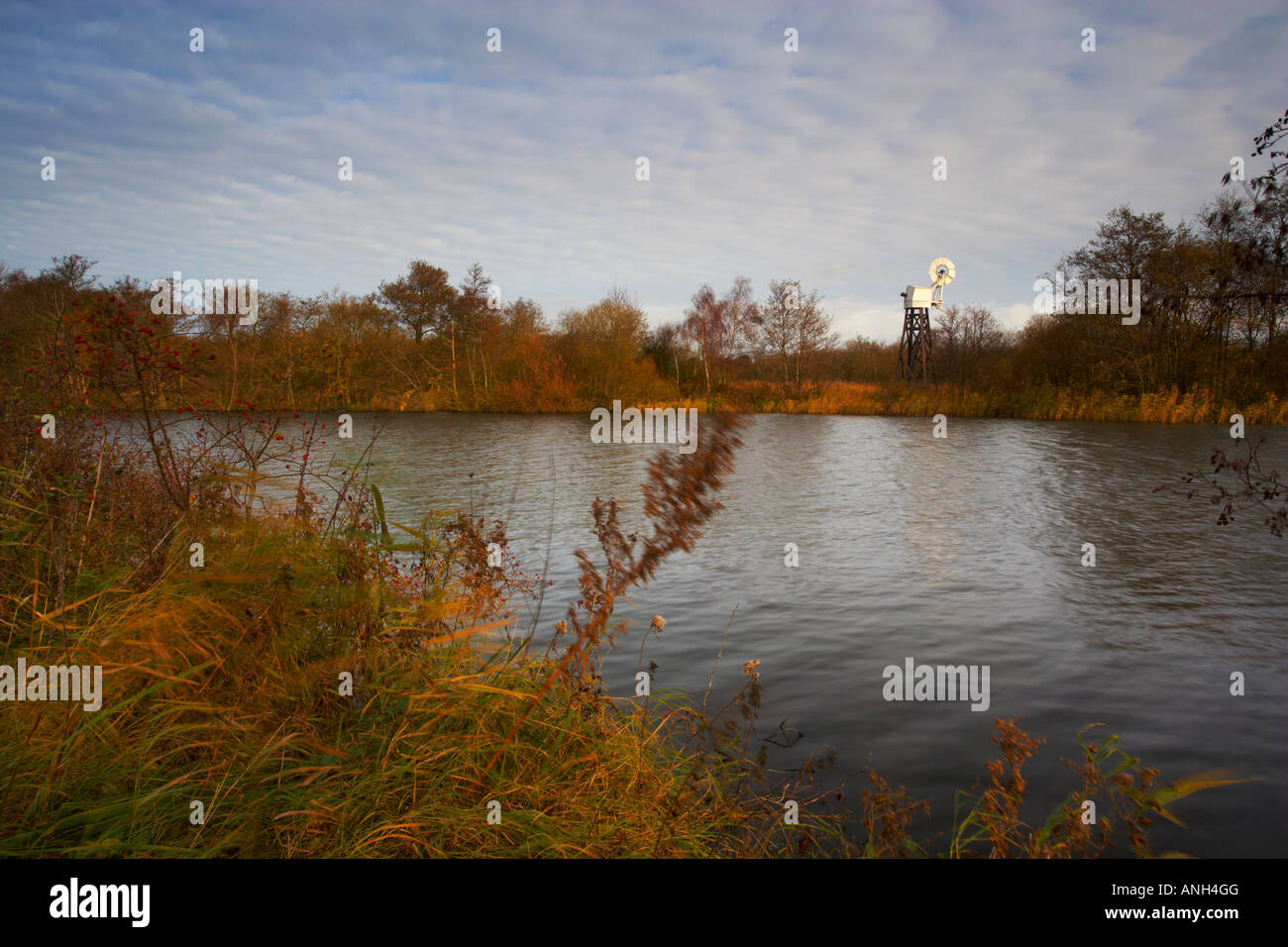 A River Bure scene in the Norfolk Broads near Horning showing Horning ...