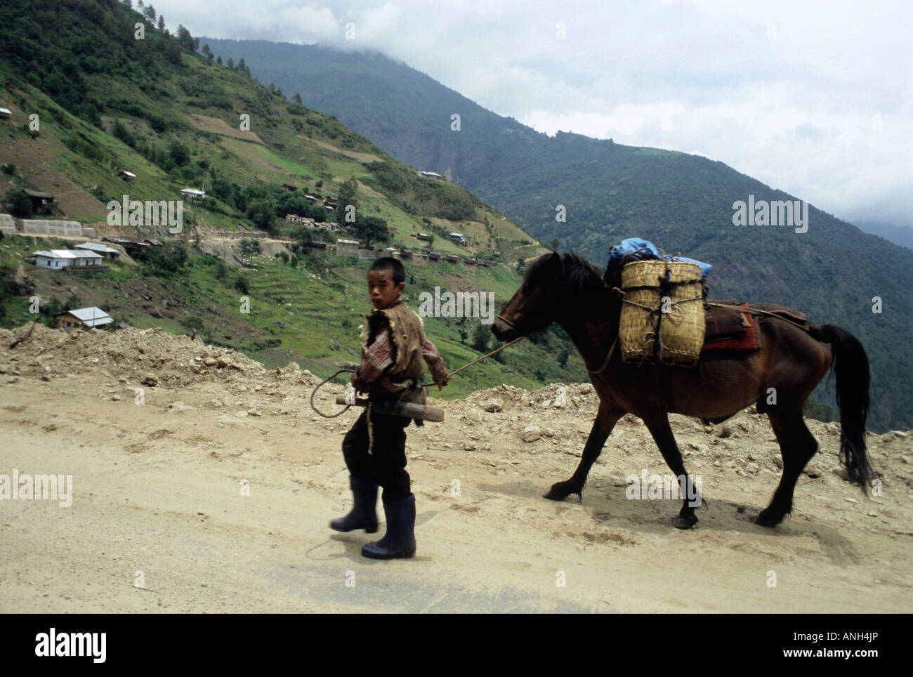 Kid with Horse at Bomdila-Dirang Road, Arunachal Pradesh, India Stock ...
