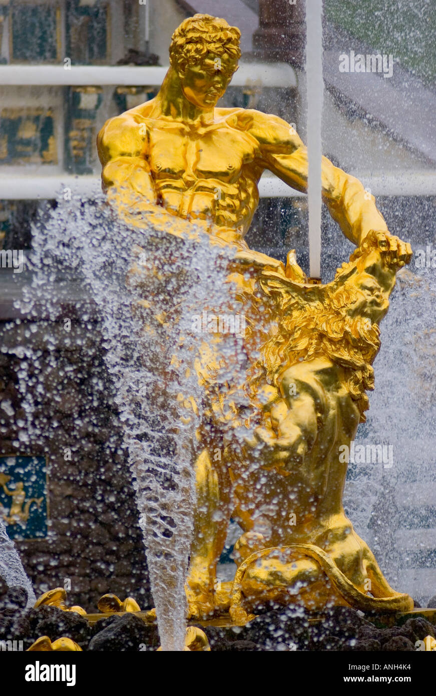 Samson and leo fountain, Peterhof, St. Petersburg, Russia Stock Photo ...