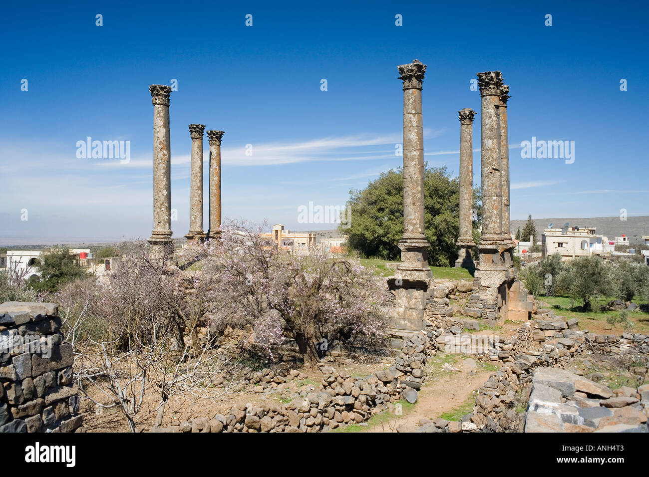 Qanawat syria middle east hi-res stock photography and images - Alamy