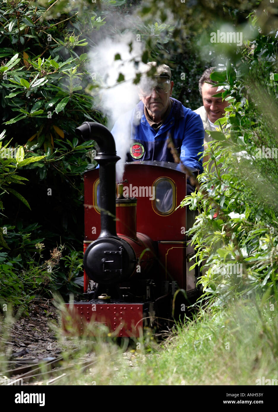 Miniature Steam Train High Resolution Stock Photography and Images - Alamy