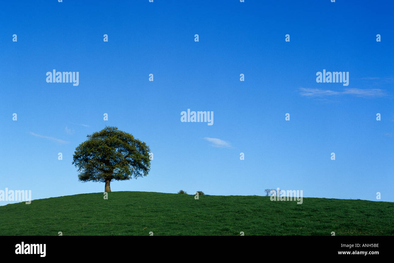 Thorner yorkshire hi-res stock photography and images - Alamy