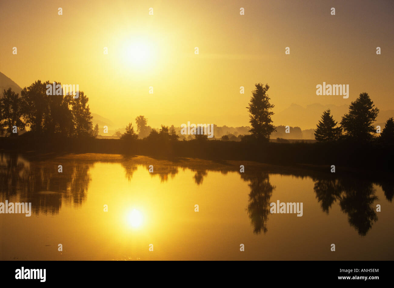 Sunrise reflection through fog, Dewdney, British Columbia, Canada Stock ...