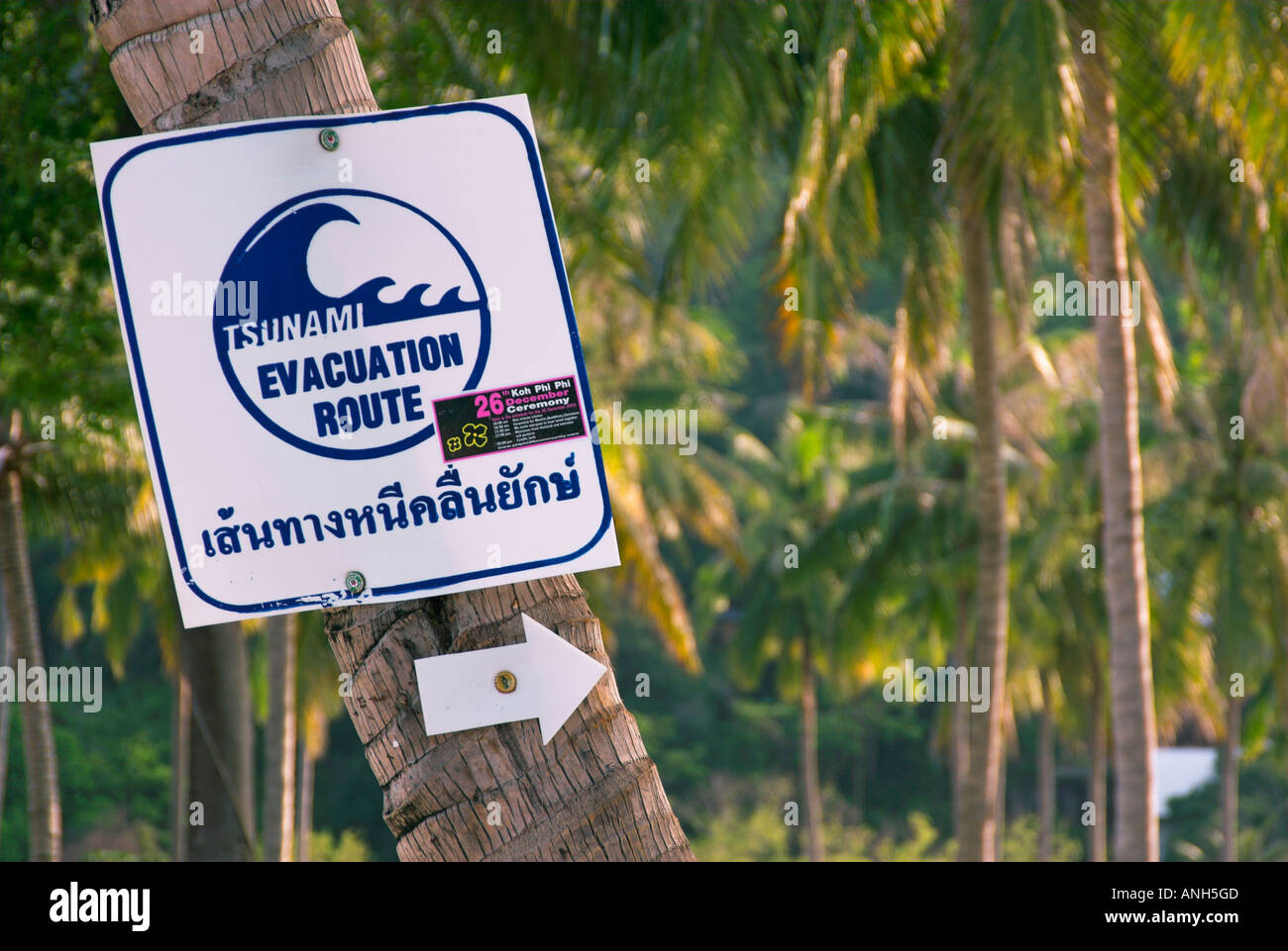 Escape route signs hi-res stock photography and images - Alamy