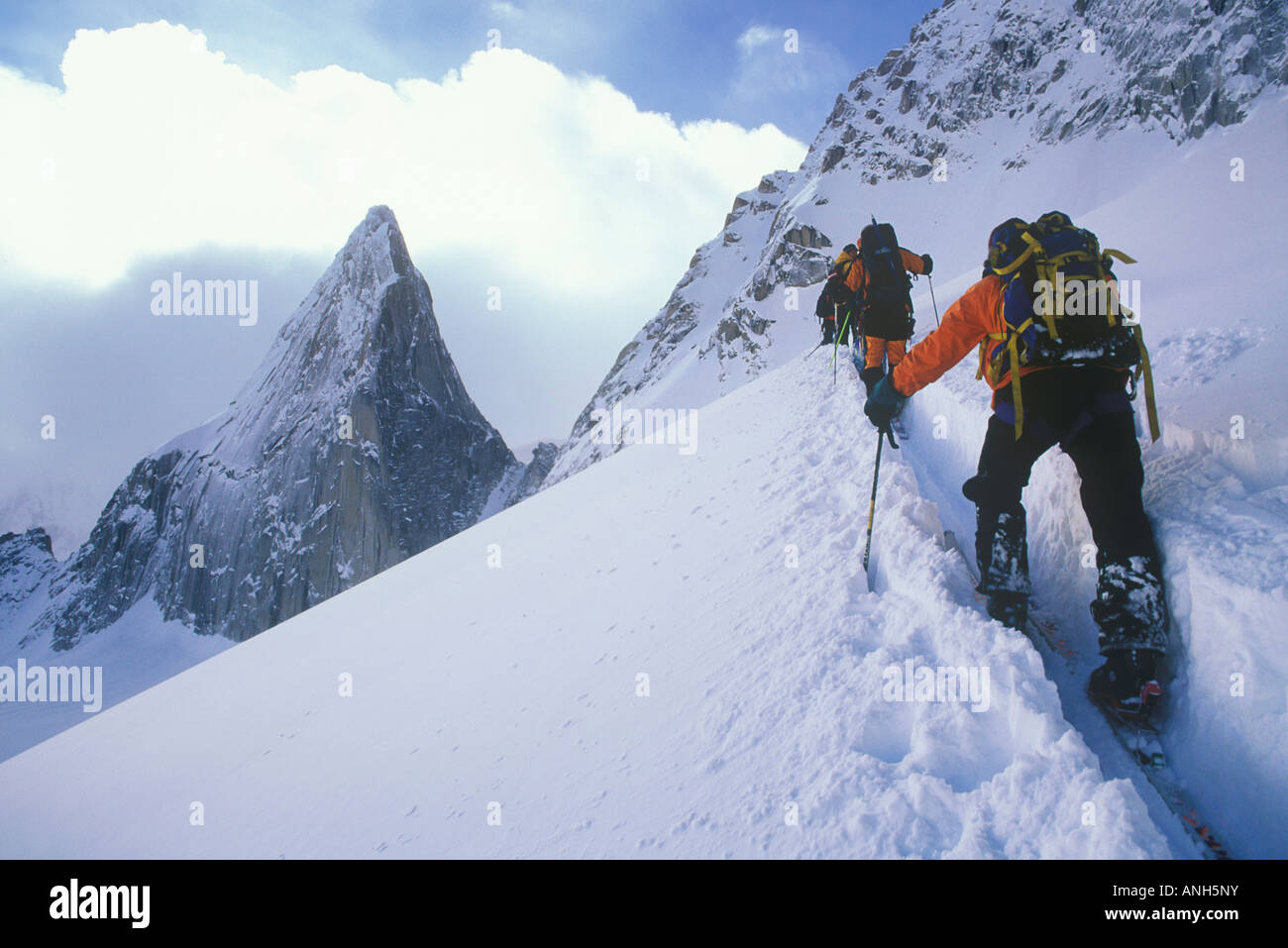 Backcountry skiers ski touring on Bugaboo Glacier, British Columbia ...