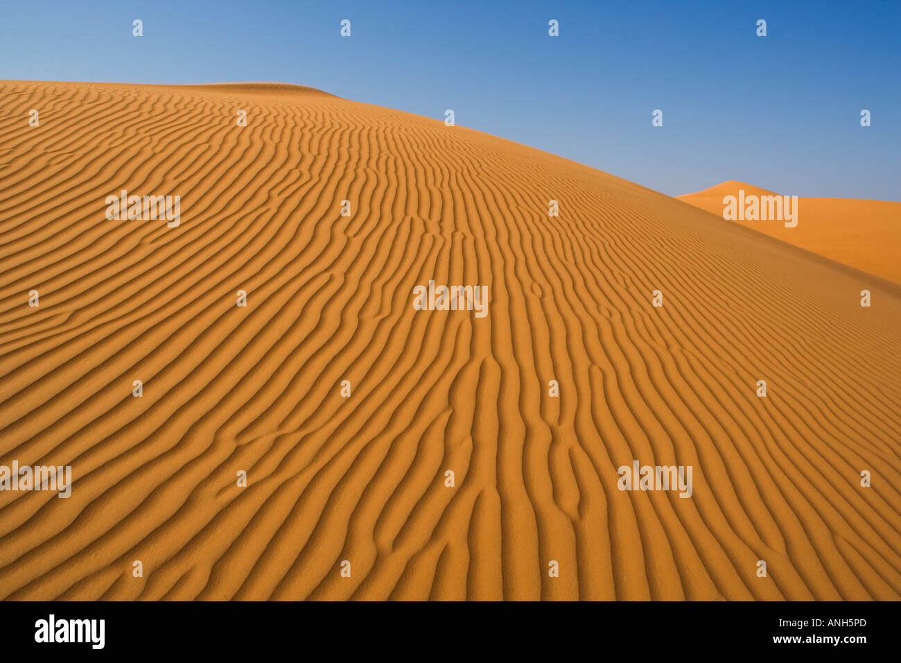 Sand Dunes, Arabian Desert, Dubai, United Arab Emirates Stock Photo - Alamy