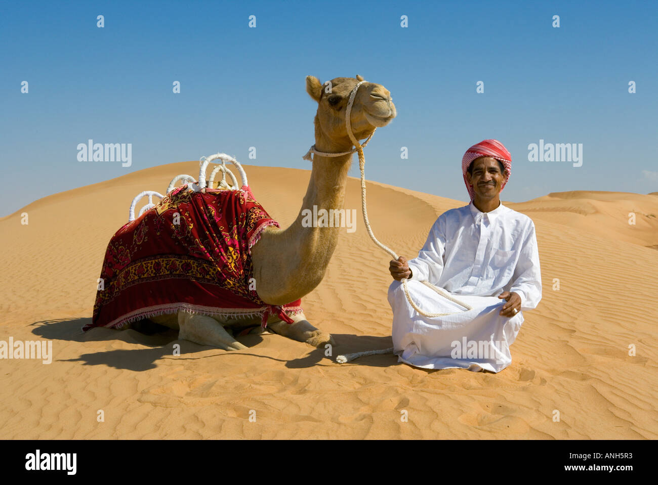Sand Dunes, Arabian Desert, Dubai, United Arab Emirates Stock Photo - Alamy