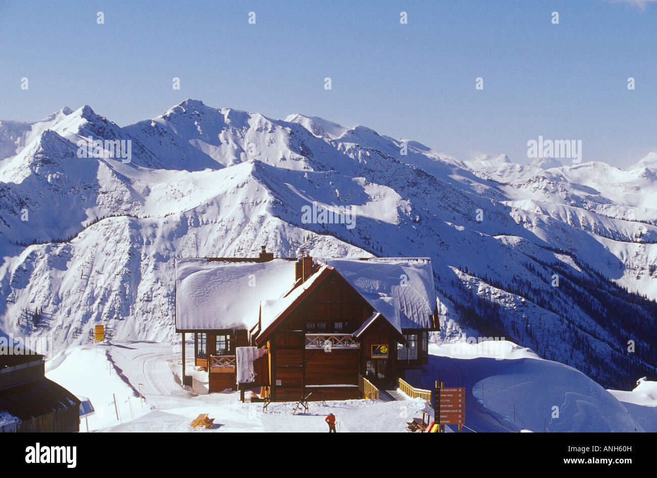 Eagles eye golden canada hi-res stock photography and images - Alamy