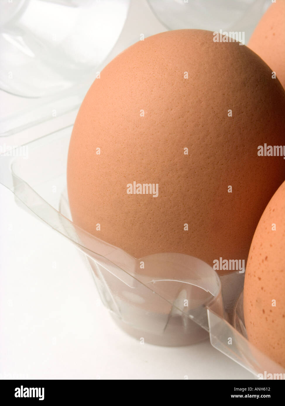 EGGS IN A PLASTIC CONTAINER Stock Photo - Alamy