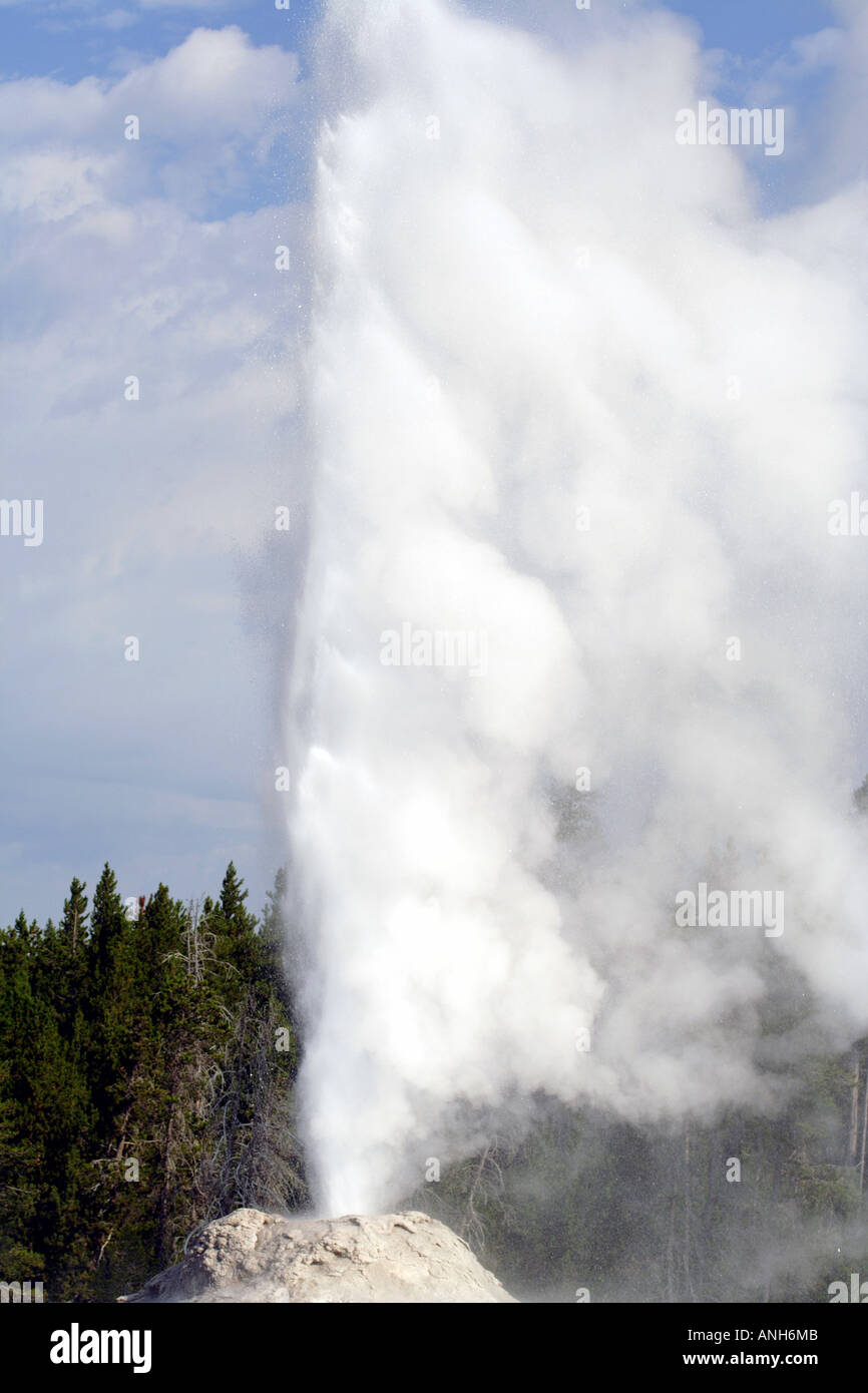 Castle Geyser, Yellowstone National Park, USA Stock Photo - Alamy