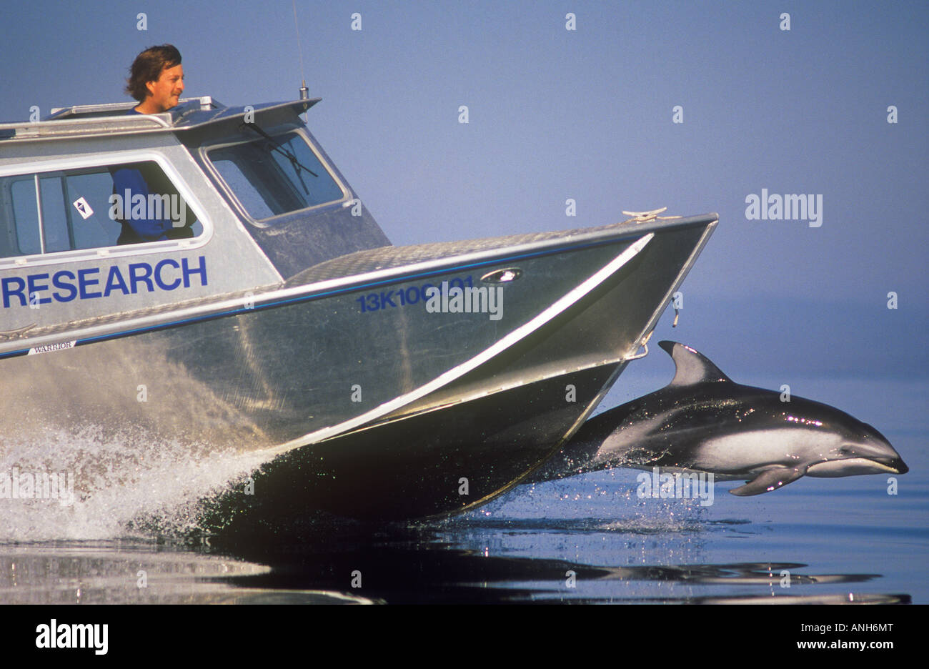Man riding dolphin hi-res stock photography and images - Alamy